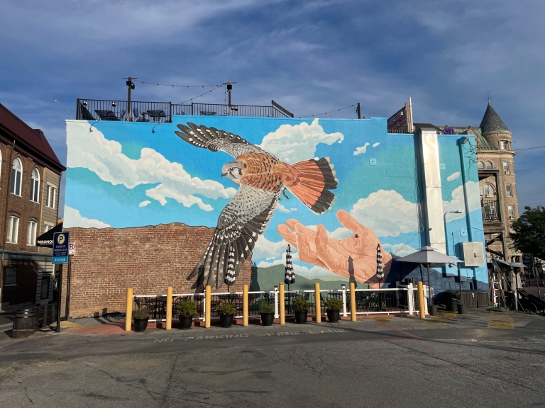 Public Art Soaring to New Heights in Harrisonburg